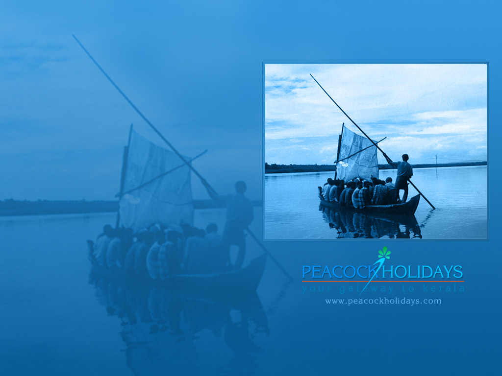 wallpaper3 - Peacock Holidays Peacock Holidays