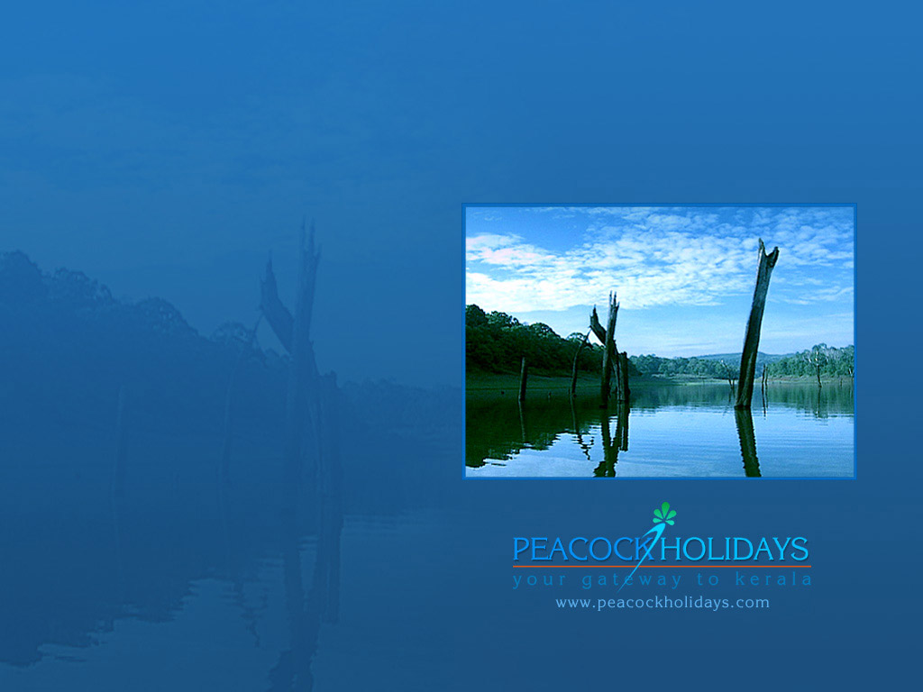 wallpaper5 - Peacock Holidays Peacock Holidays